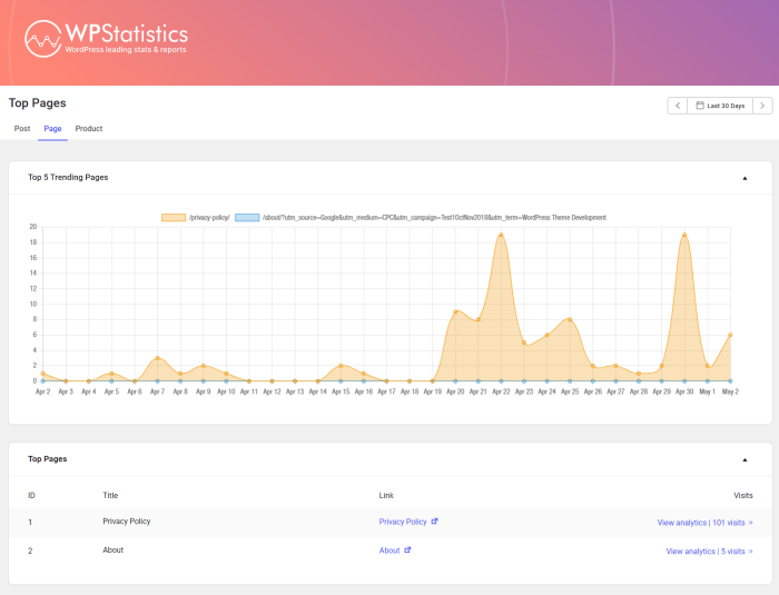 Google Analytics之外的选择,WordPress免费统计插件WP Statistics安装教程